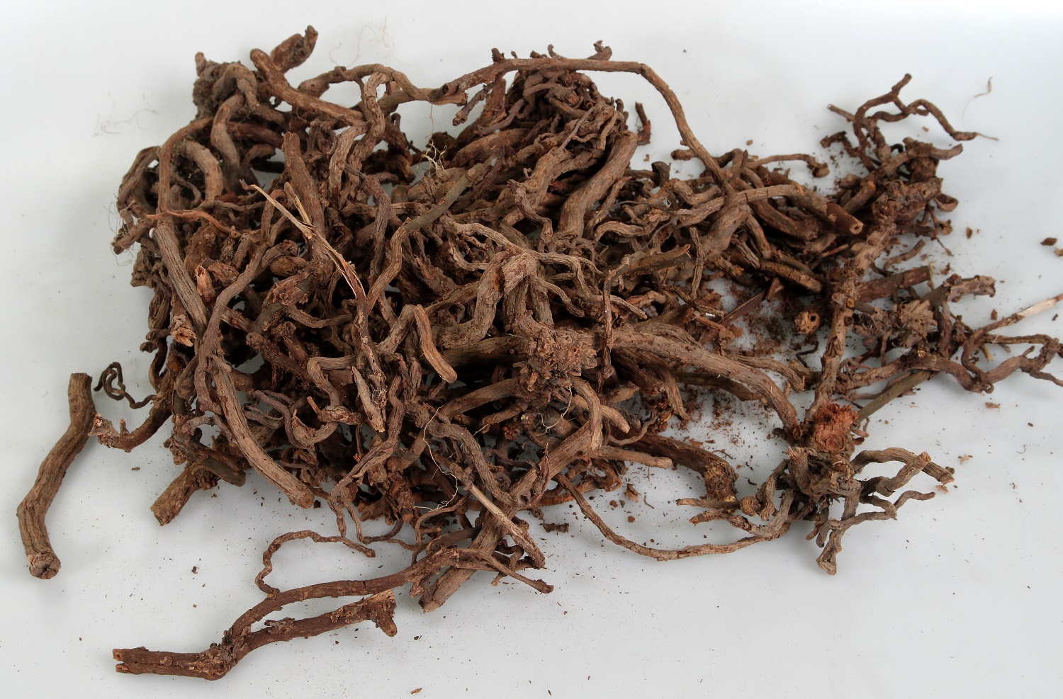 Lezing over de geschiedenis van meekrap in Museum Hoeksche Waard ...