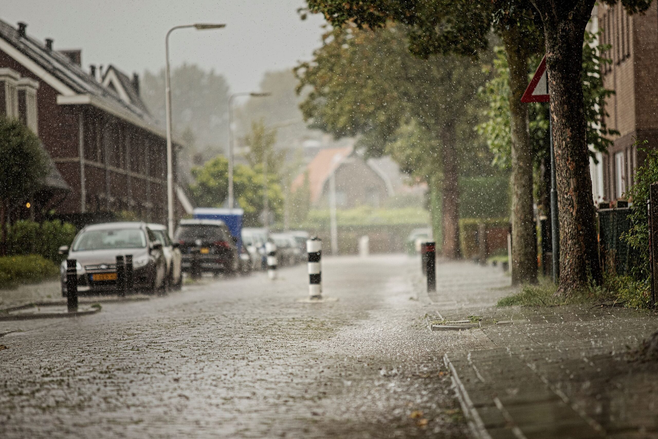 Hoeksche Waard voorbereid op veranderend klimaat met nieuw plan en ...